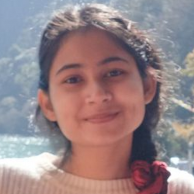 Team – Secure Intelligent and Efficient Systems Lab